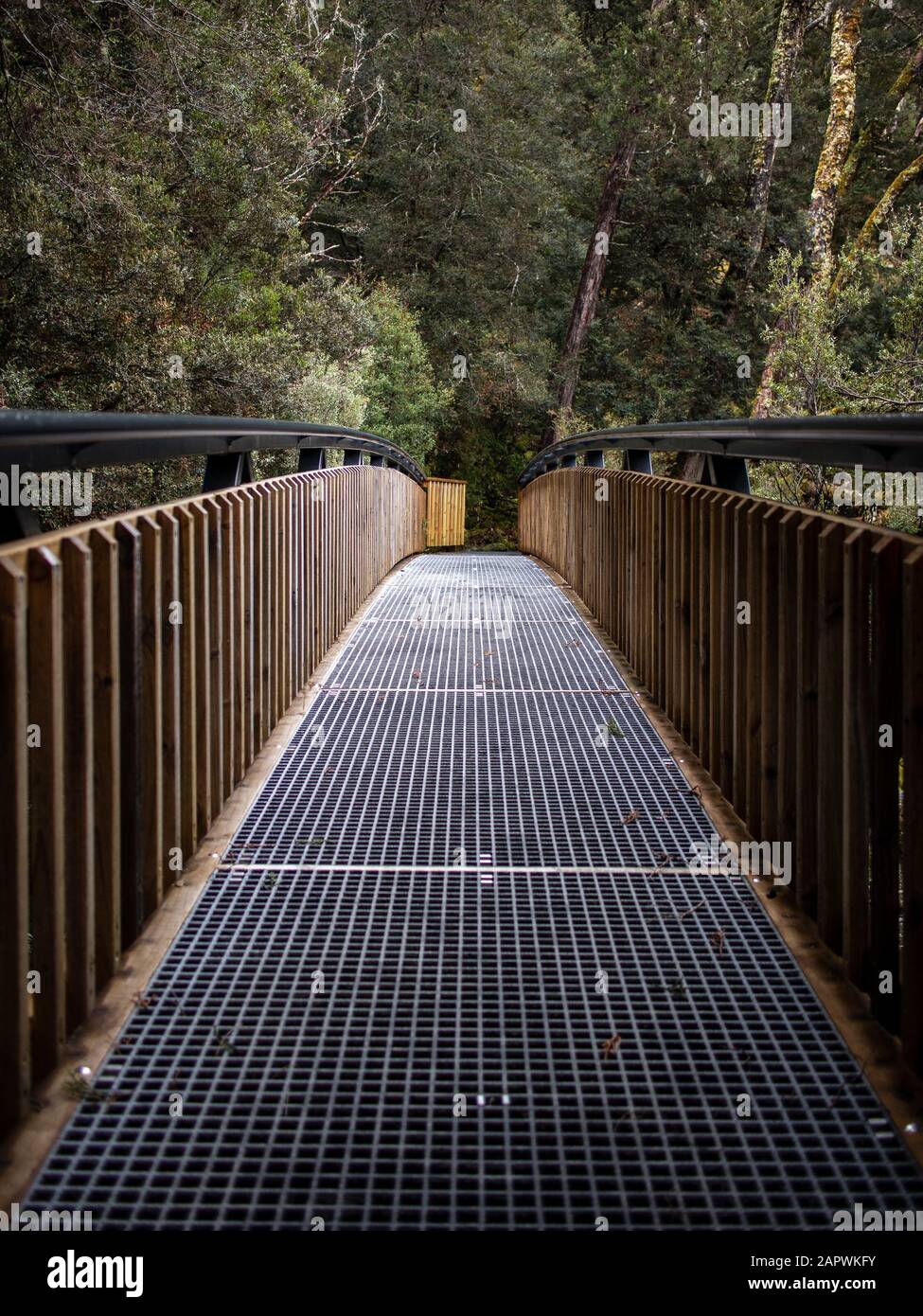 Boardwalk bridge at Cradle Mountain, Tasmania Stock Photo - Alamy