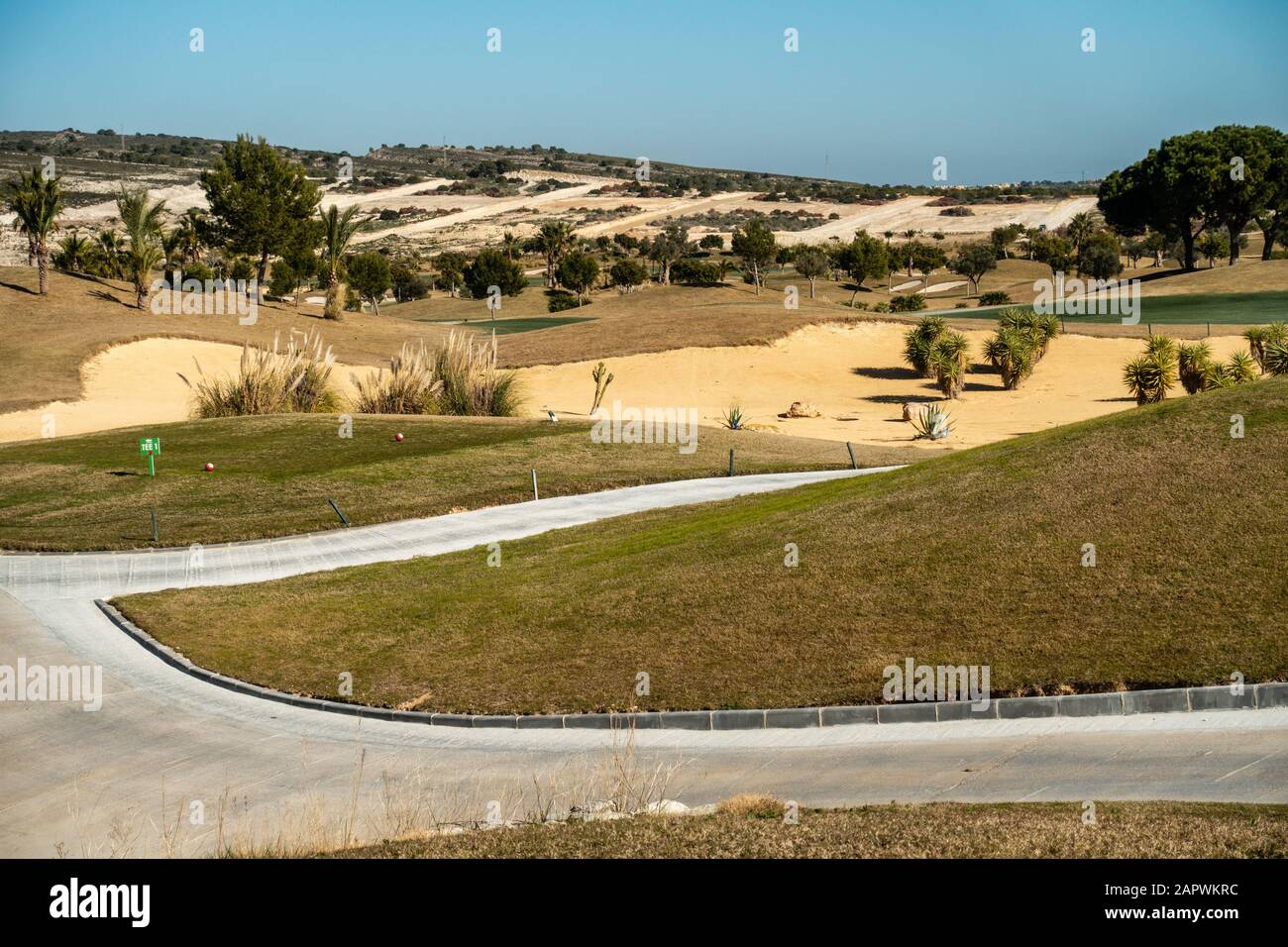 Different kinds of trees on a golf field in Spain Stock Photo - Alamy