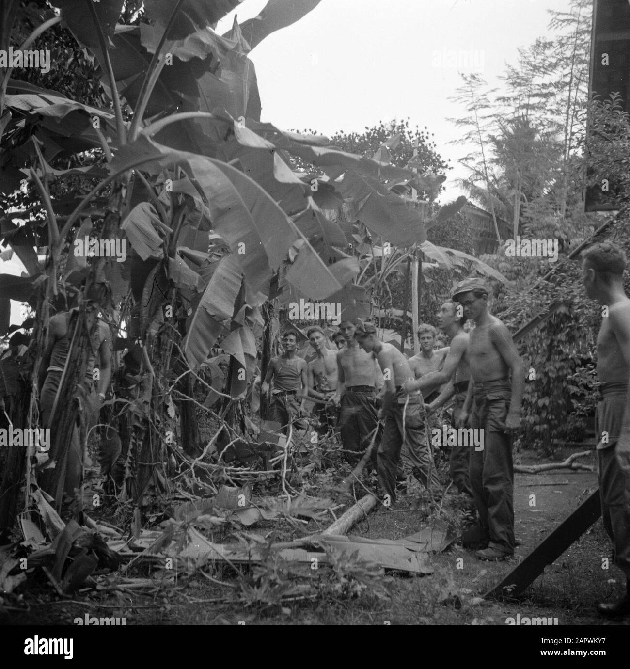War Volunteers in Malacca and Indonesia Military felling banana trees ...