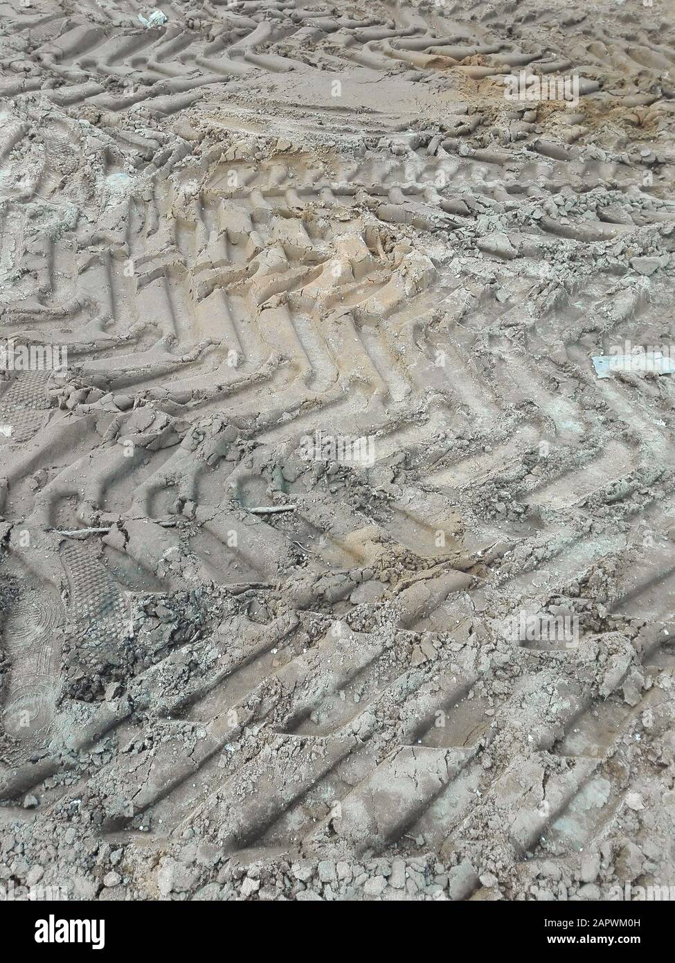 Mud trails on sand hi-res stock photography and images - Alamy
