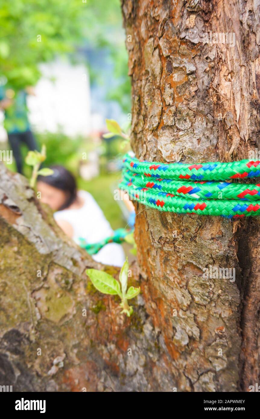 White ribbon around a tree hi-res stock photography and images - Alamy