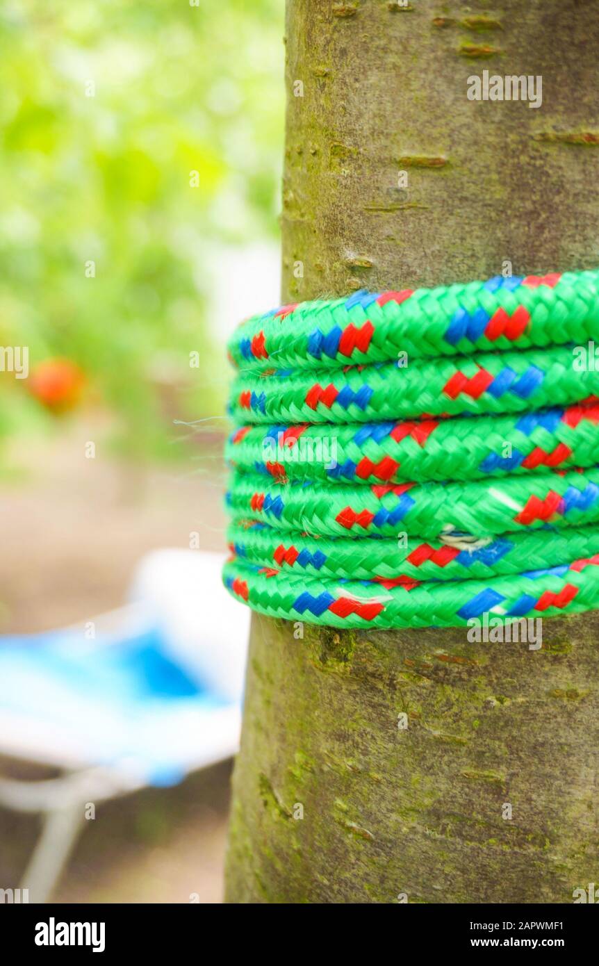 Girl tied to a tree hi-res stock photography and images - Alamy
