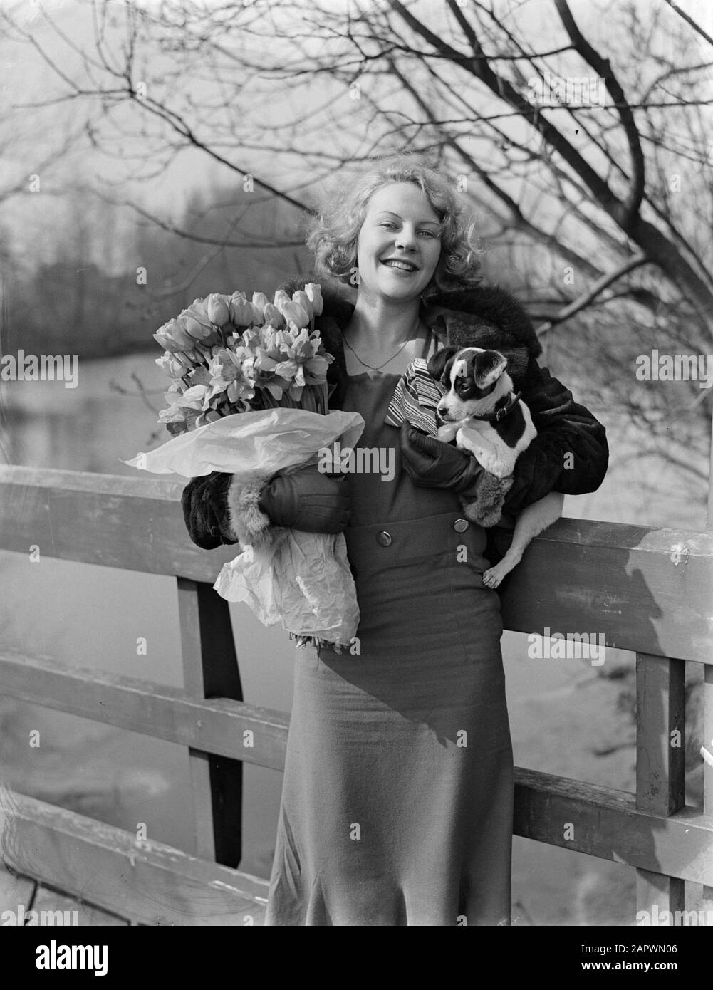 Dog photoshoot Black and White Stock Photos & Images - Alamy