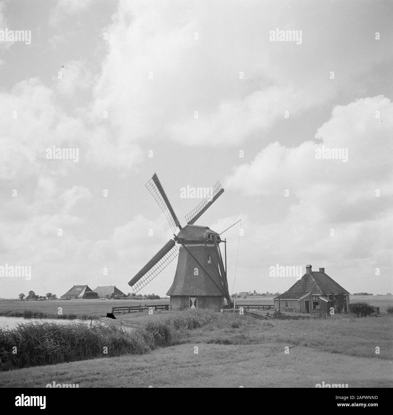 Farming landscape friesland Black and White Stock Photos & Images - Alamy