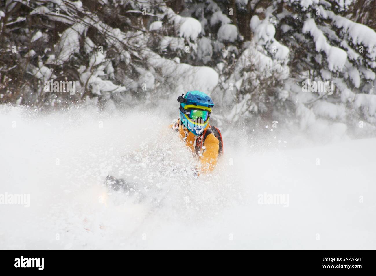 A man in a bright orange jacket and helmet rides a snowmobile (snow ...