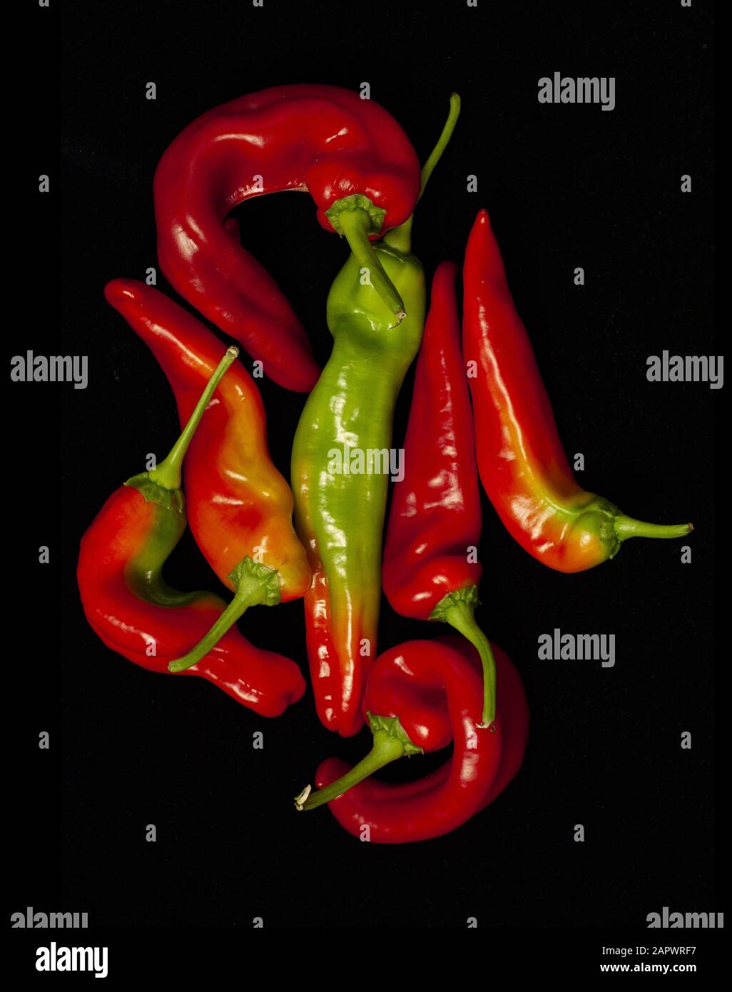 Vertical picture of red and green chilli peppers under the lights ...