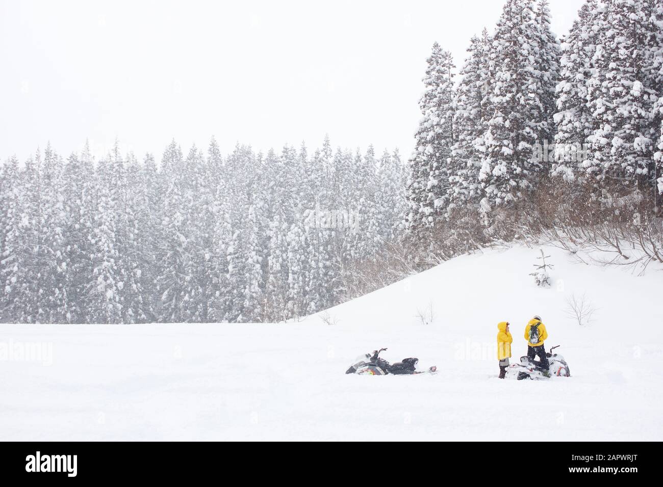 Motor sledge hi-res stock photography and images - Alamy