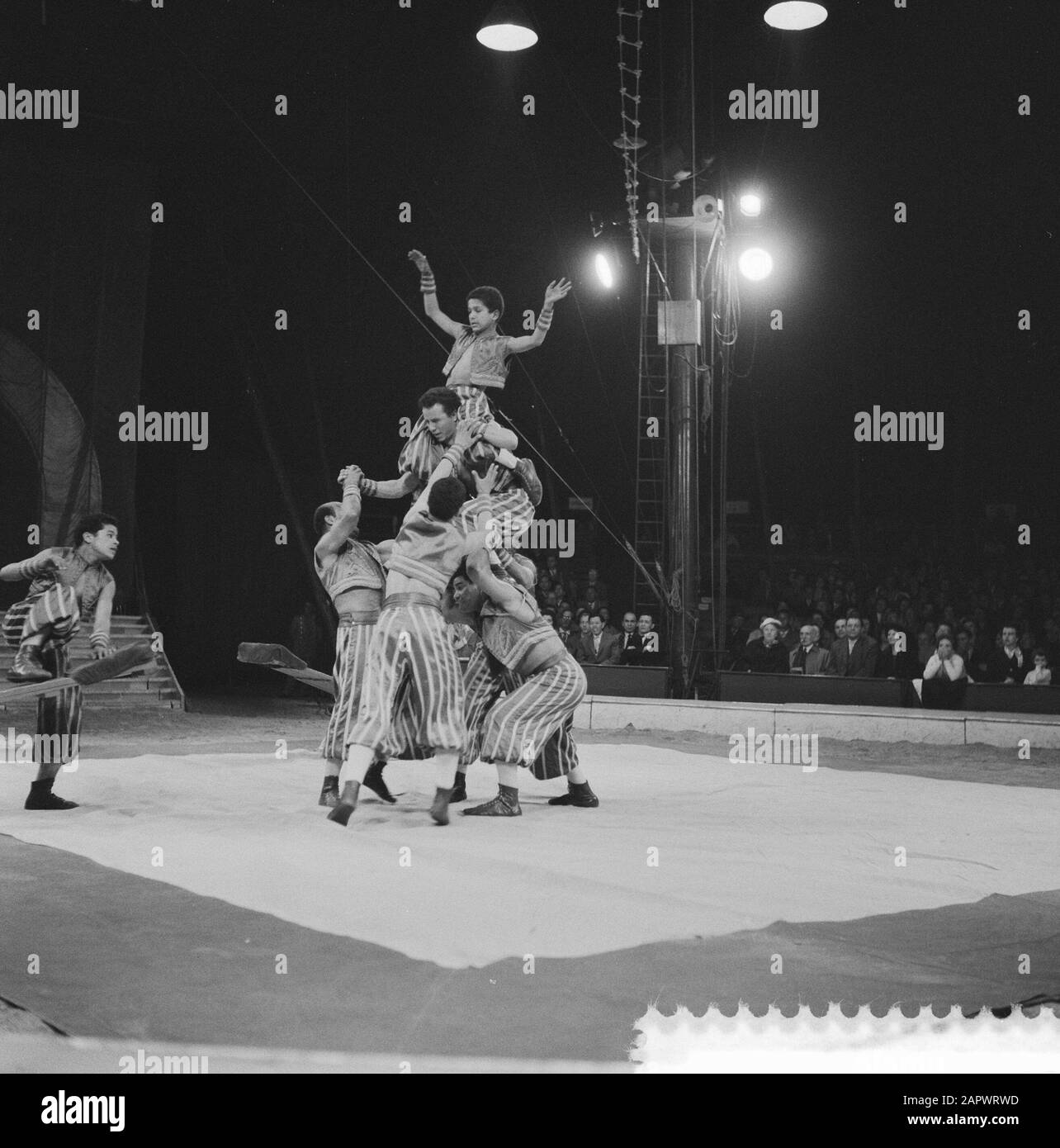 Double springboard hi-res stock photography and images - Alamy