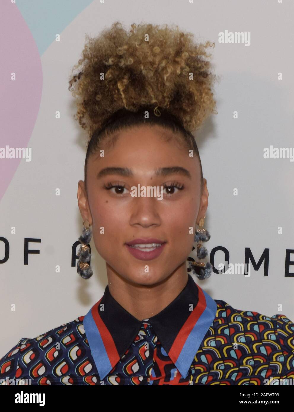 New York, USA. 24th Jan, 2020. Ally Love attends Hudson River Park ...