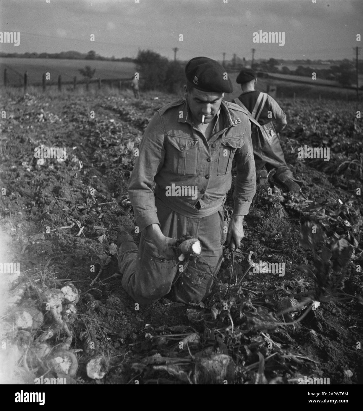 Dutch soldiers in training. Princess Irene Brigade. [Help with the ...