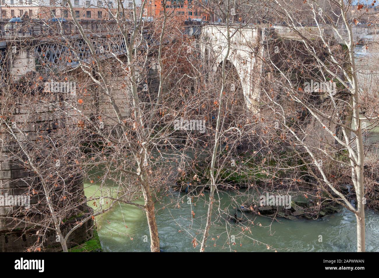 branches of trees and river water in the city Stock Photo - Alamy