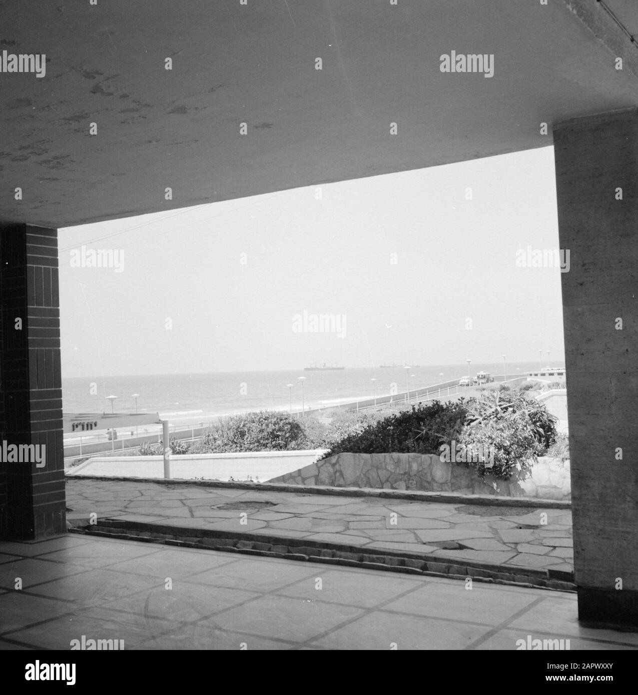 Shrubbery view Black and White Stock Photos & Images - Alamy