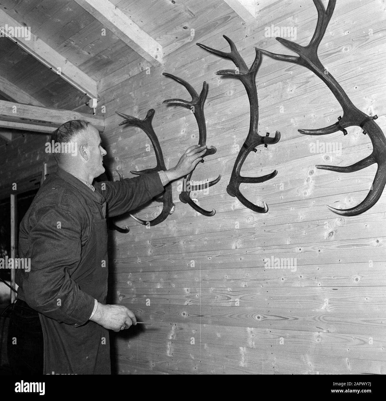 Hanging deer hi-res stock photography and images - Alamy