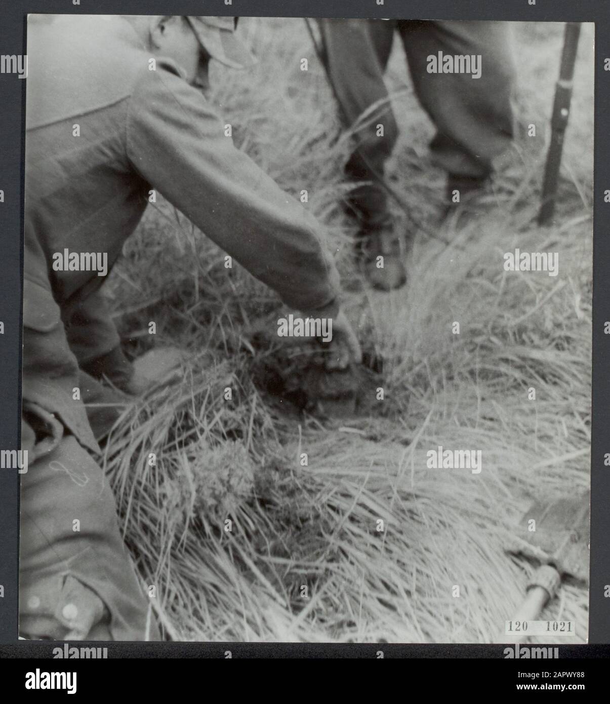 Reconstruction wartime world war hi-res stock photography and images ...