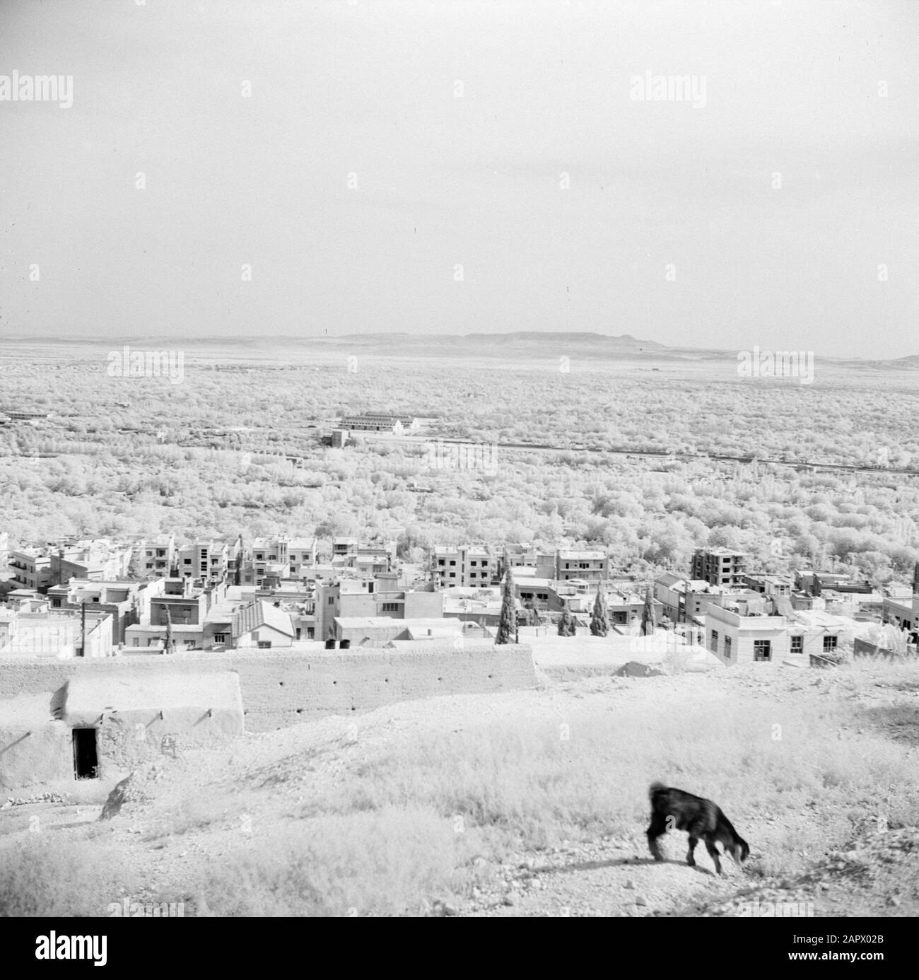 Middle East 1950-1955: Syria Overview of a suburb of the city of ...