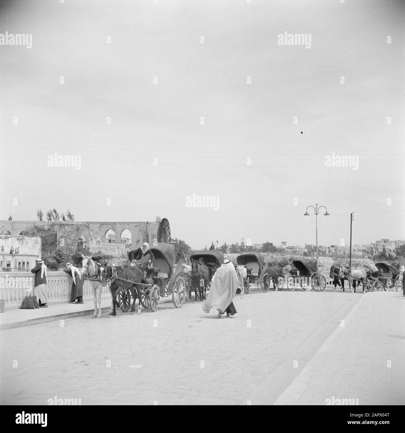 Horses in front Black and White Stock Photos & Images - Alamy