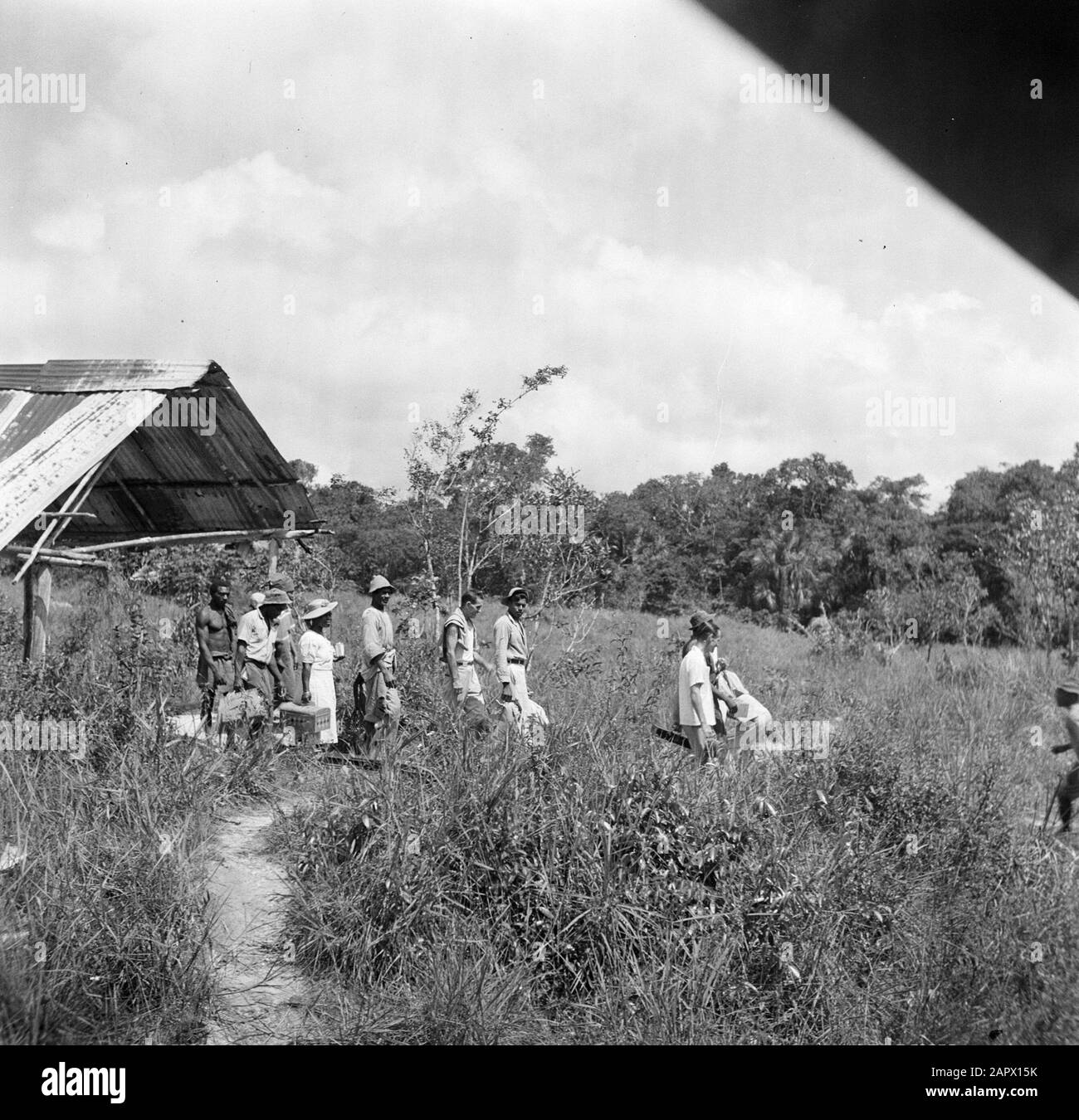 Travel to Suriname and the Netherlands Antilles Passengers from the ...