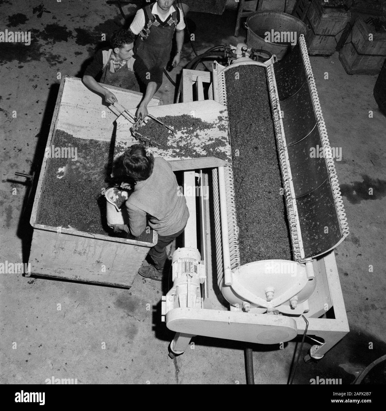 Pneumatic wine press hi-res stock photography and images - Alamy