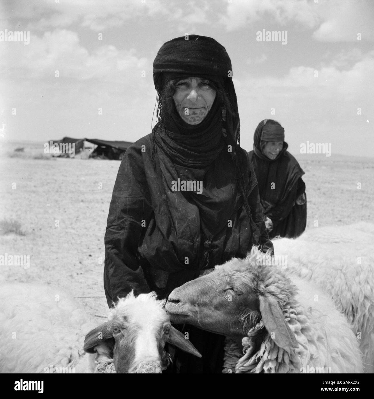 Middle East 1950-1955: Syria Portrait of a Bedouin woman with sheep ...