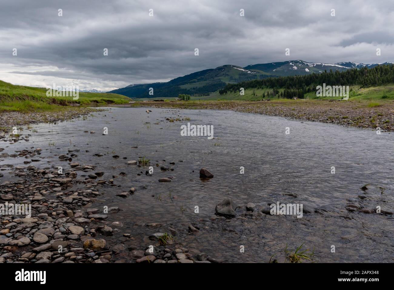 Lamar river area hi-res stock photography and images - Alamy