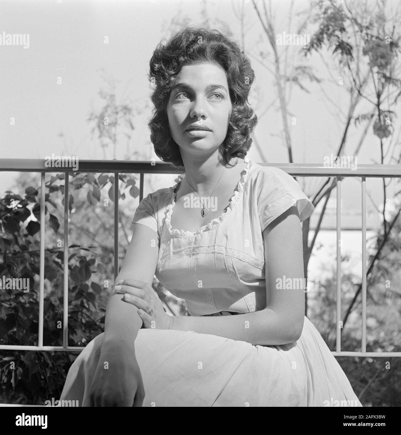 Concrete fence Black and White Stock Photos & Images - Alamy