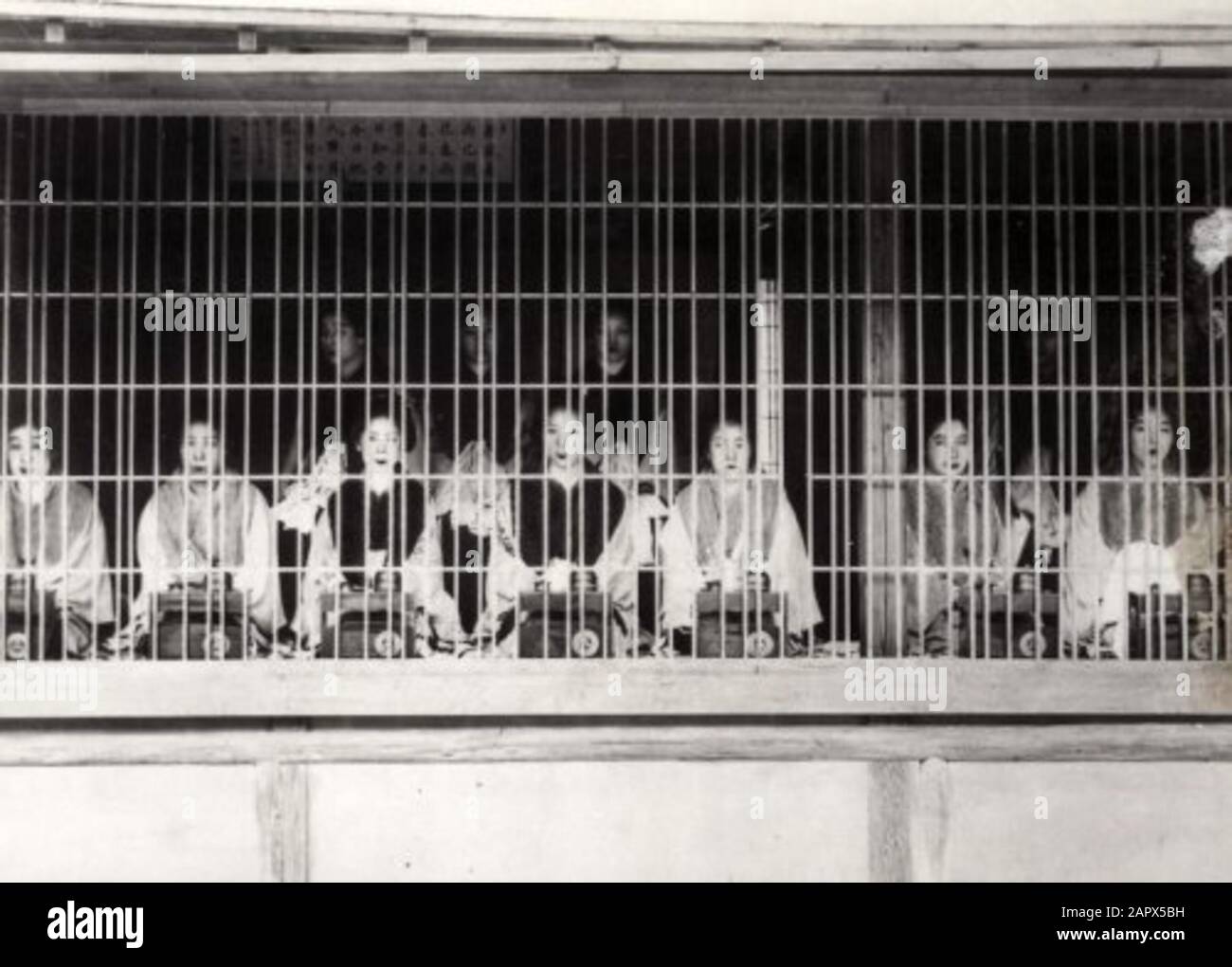 [Prostitution-house.] Japanese Yoshiwara girls exhibited behind bars ...