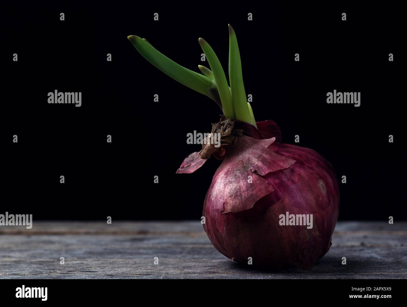 Fresh red onion growth hi-res stock photography and images - Alamy