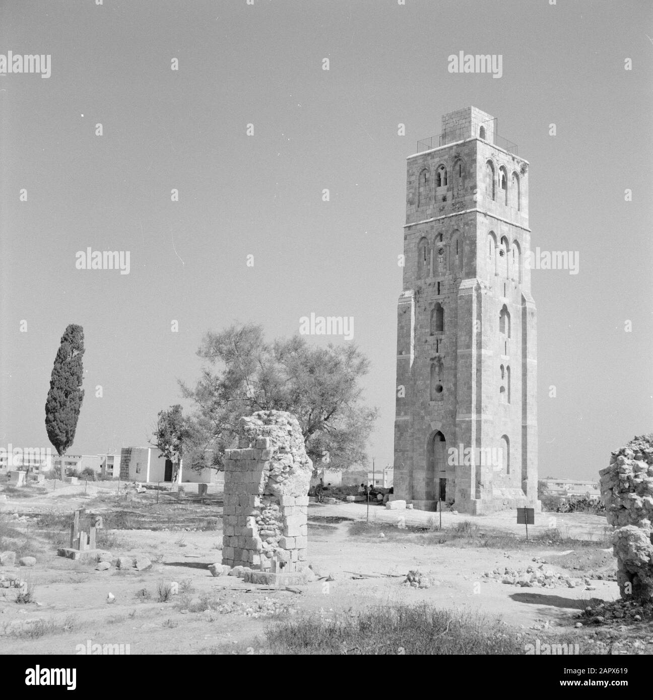 Ramle. Ruins of the White Mosque overlooking the White Tower showing ...