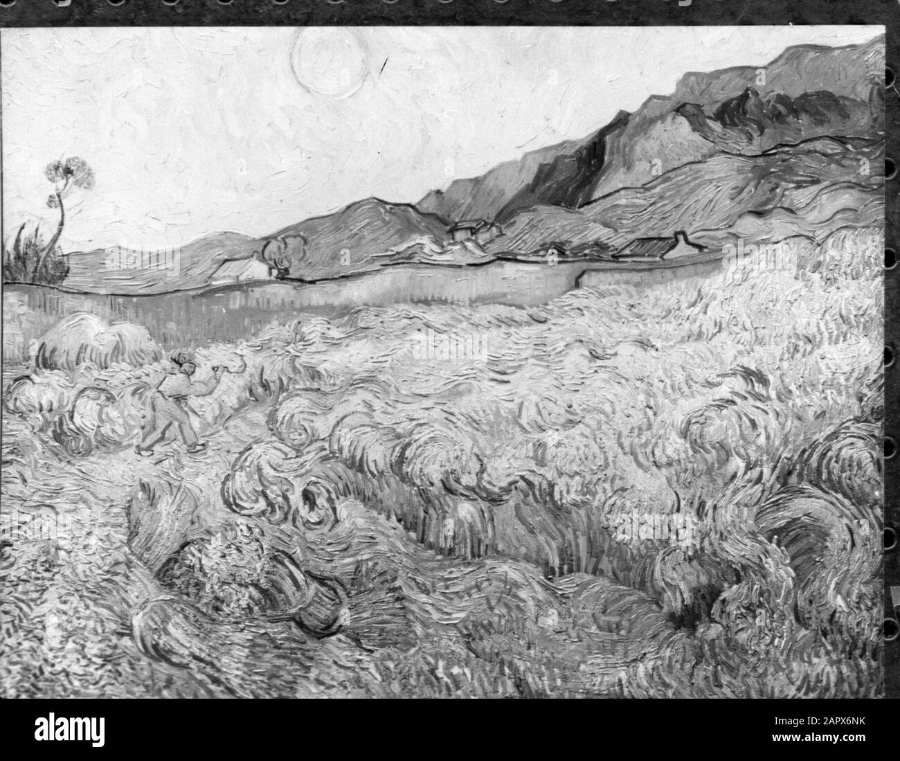 Reproduction Photography Reproduction of a painting by Van Gogh Date ...