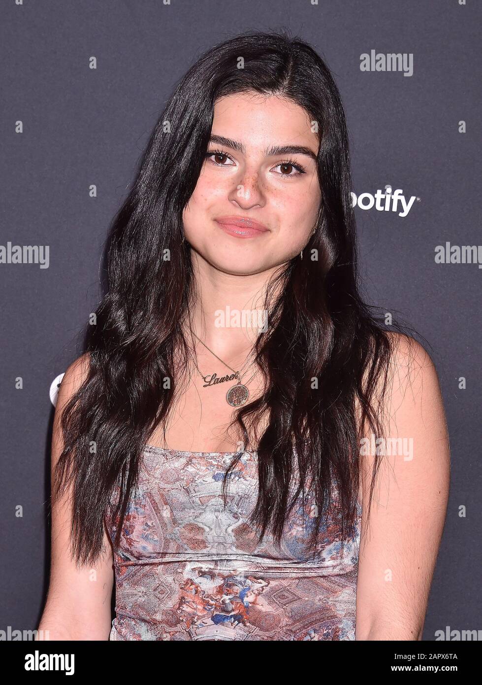 WEST HOLLYWOOD, CA - JANUARY 23: Ren attends at the Spotify Best New ...