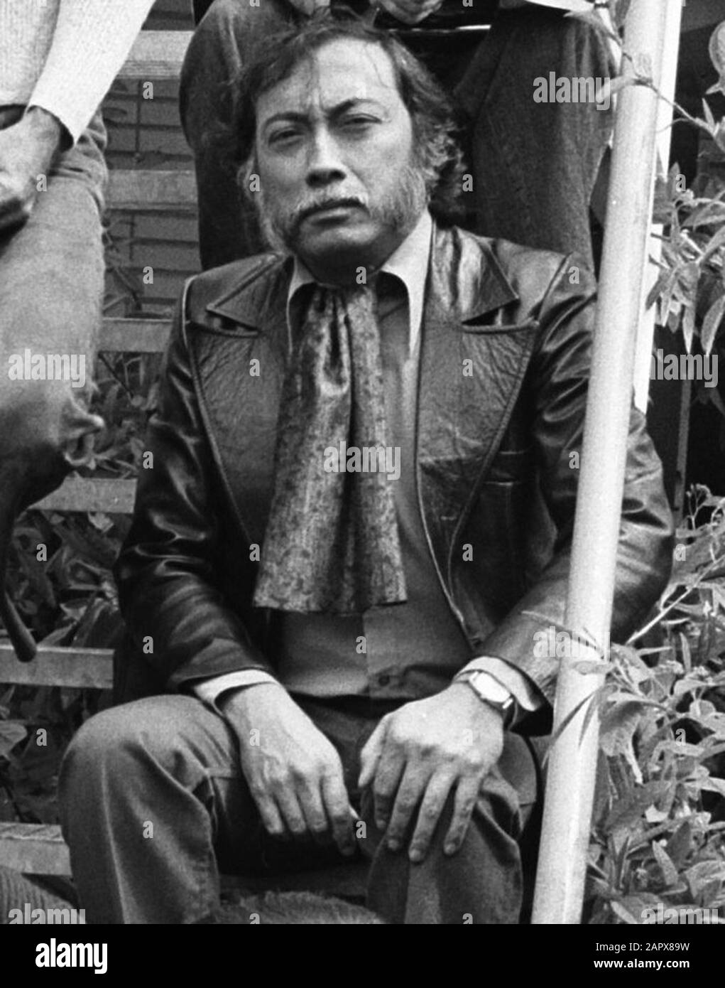 Dutch jazz pianist Rob Pronk (1975 Stock Photo - Alamy