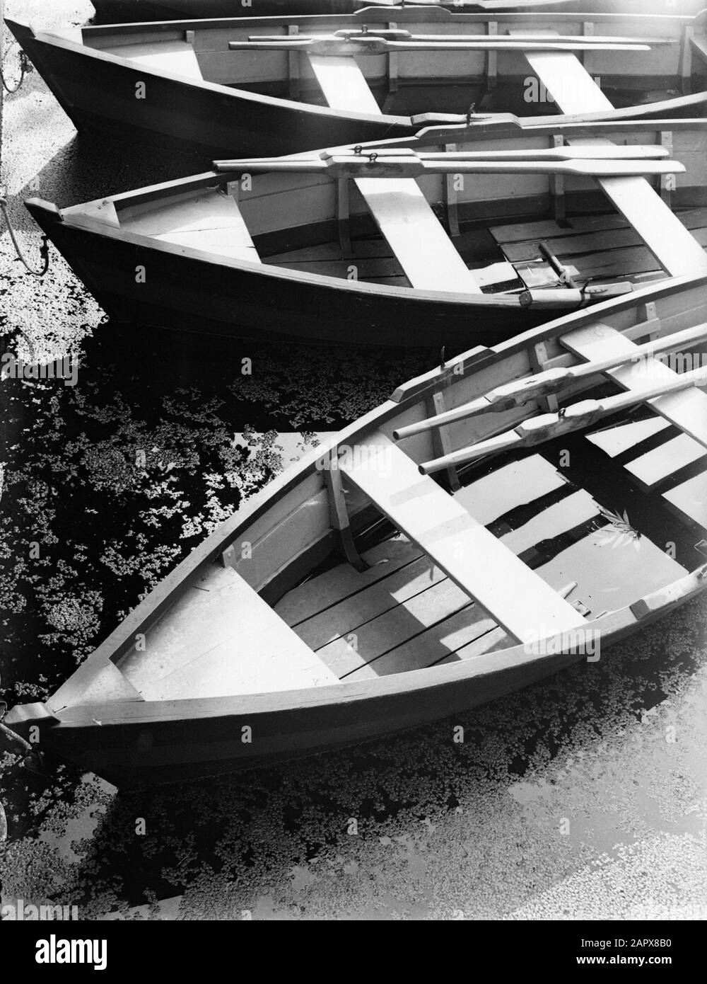 Rowing boats aan het Gein Date: undated Location: Gein, Utrecht ...