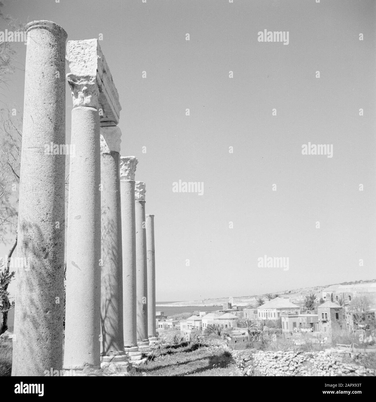 Middle East 1950-1955: Lebanon Roman colonnade in Tyrus near Byblos ...