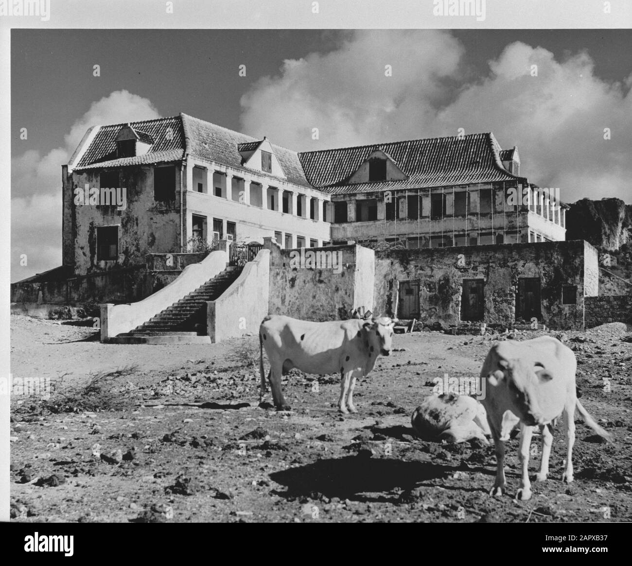 Curacao plantation Black and White Stock Photos & Images - Alamy