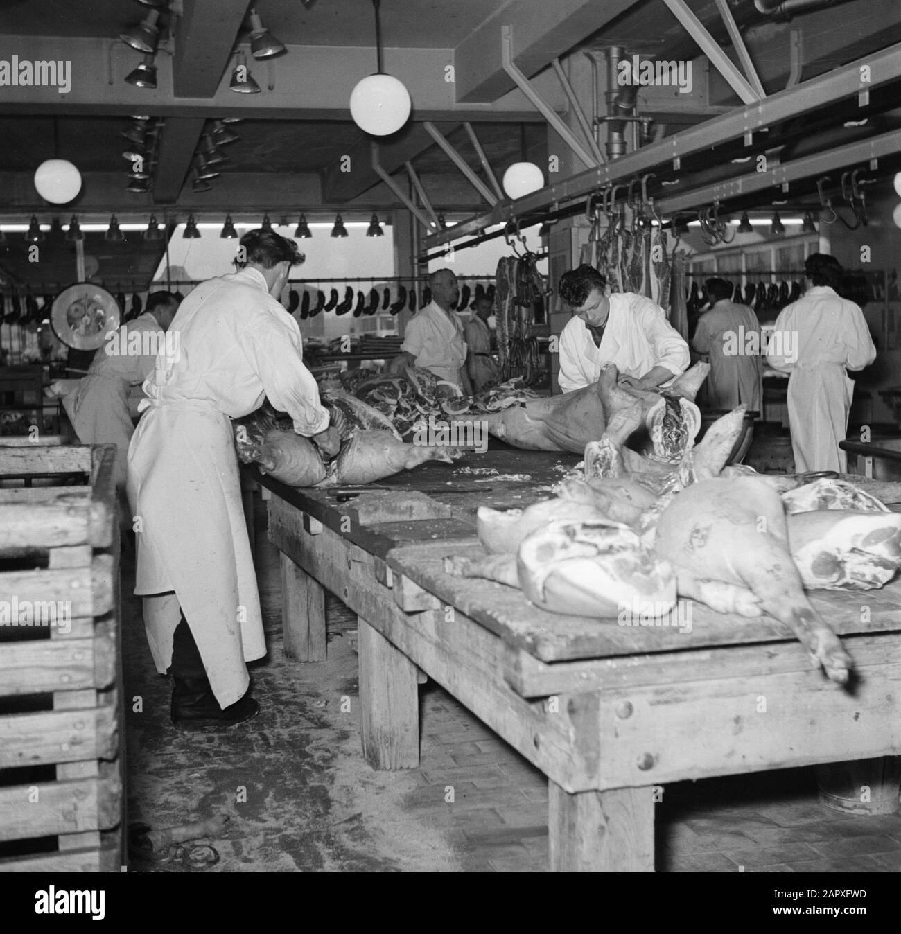 Butchering pigs Black and White Stock Photos & Images - Alamy