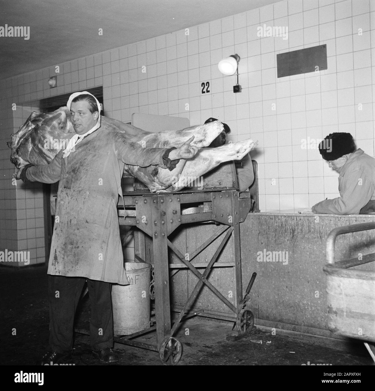 Meat pig pigs slaughter butcher Black and White Stock Photos & Images ...