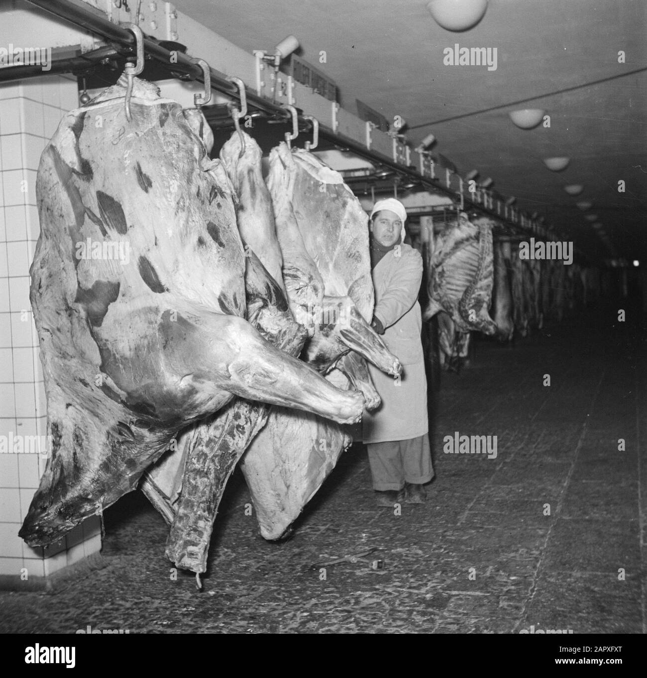 Processed meat butcher Black and White Stock Photos & Images - Alamy