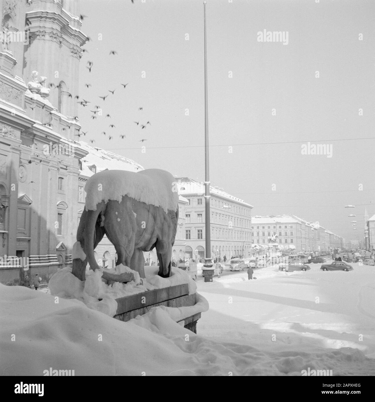 Visit to Munich Statue of a lion in the snow in the Feldherrnhalle at ...