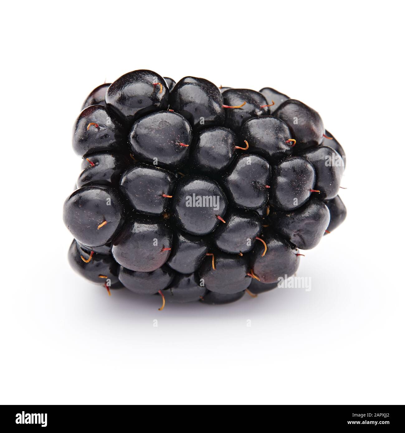 Blackberry Isolated on White Background Stock Photo - Alamy