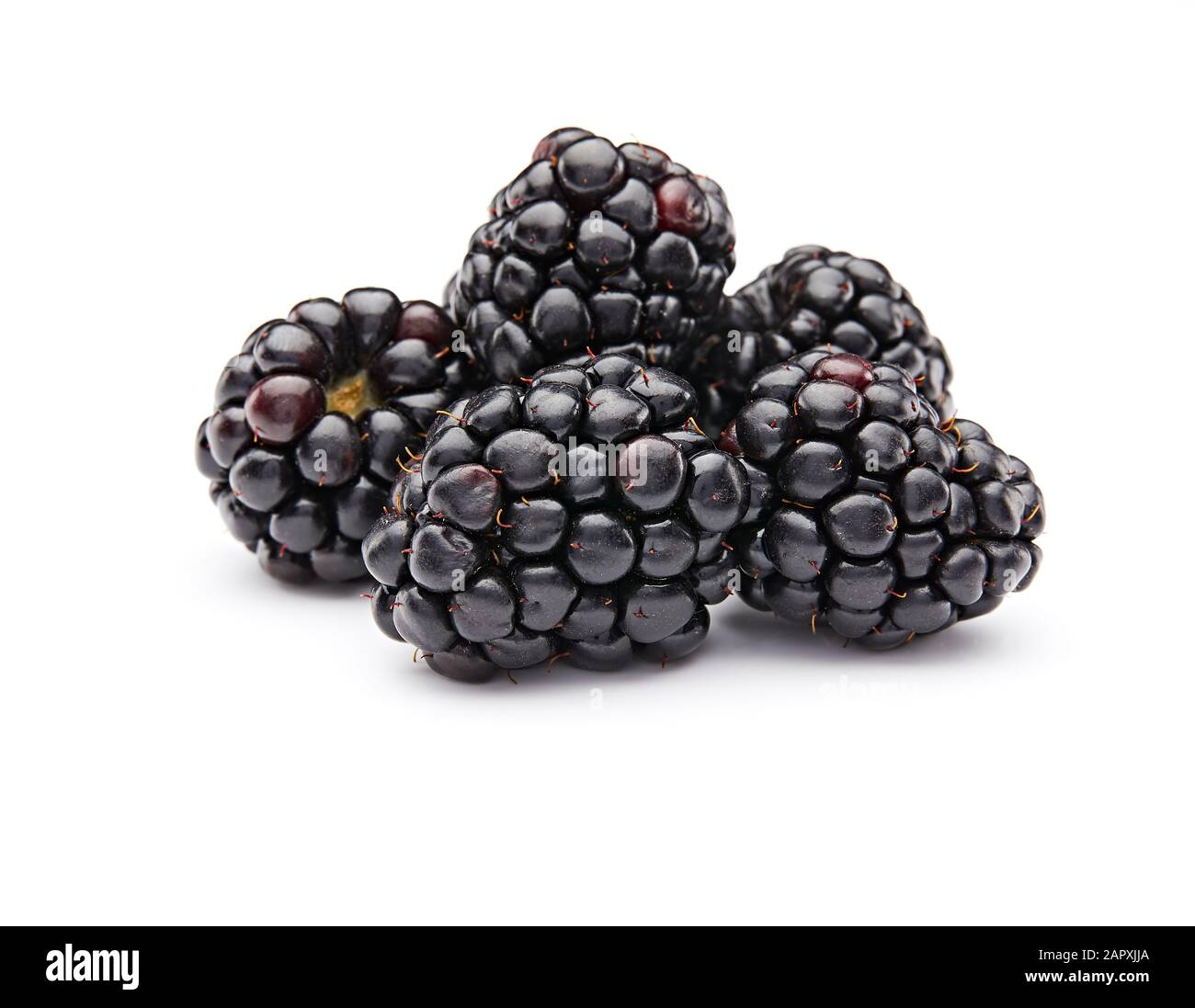 Blackberry Isolated on White Background Stock Photo - Alamy