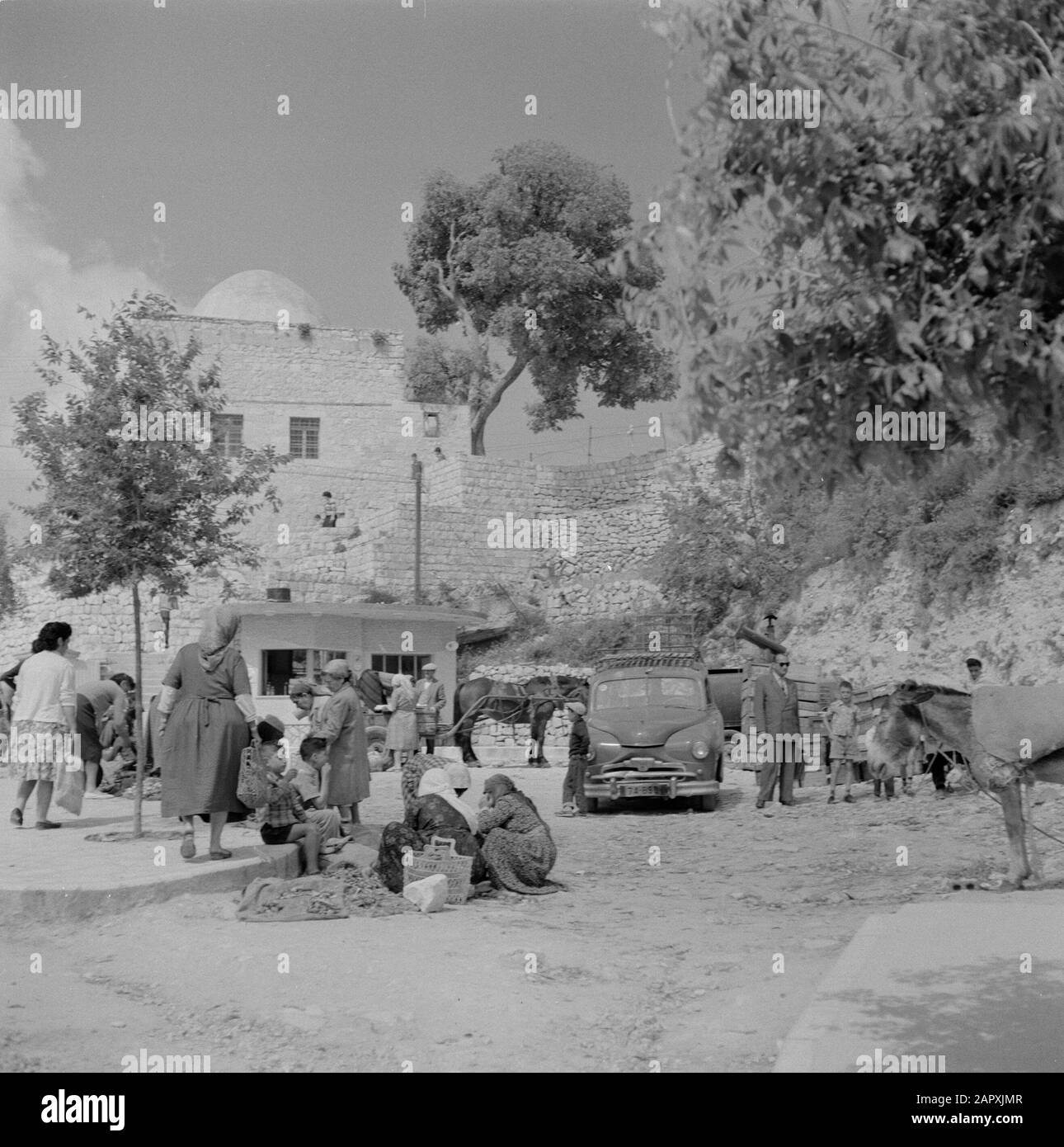 Draught animal hi-res stock photography and images - Alamy