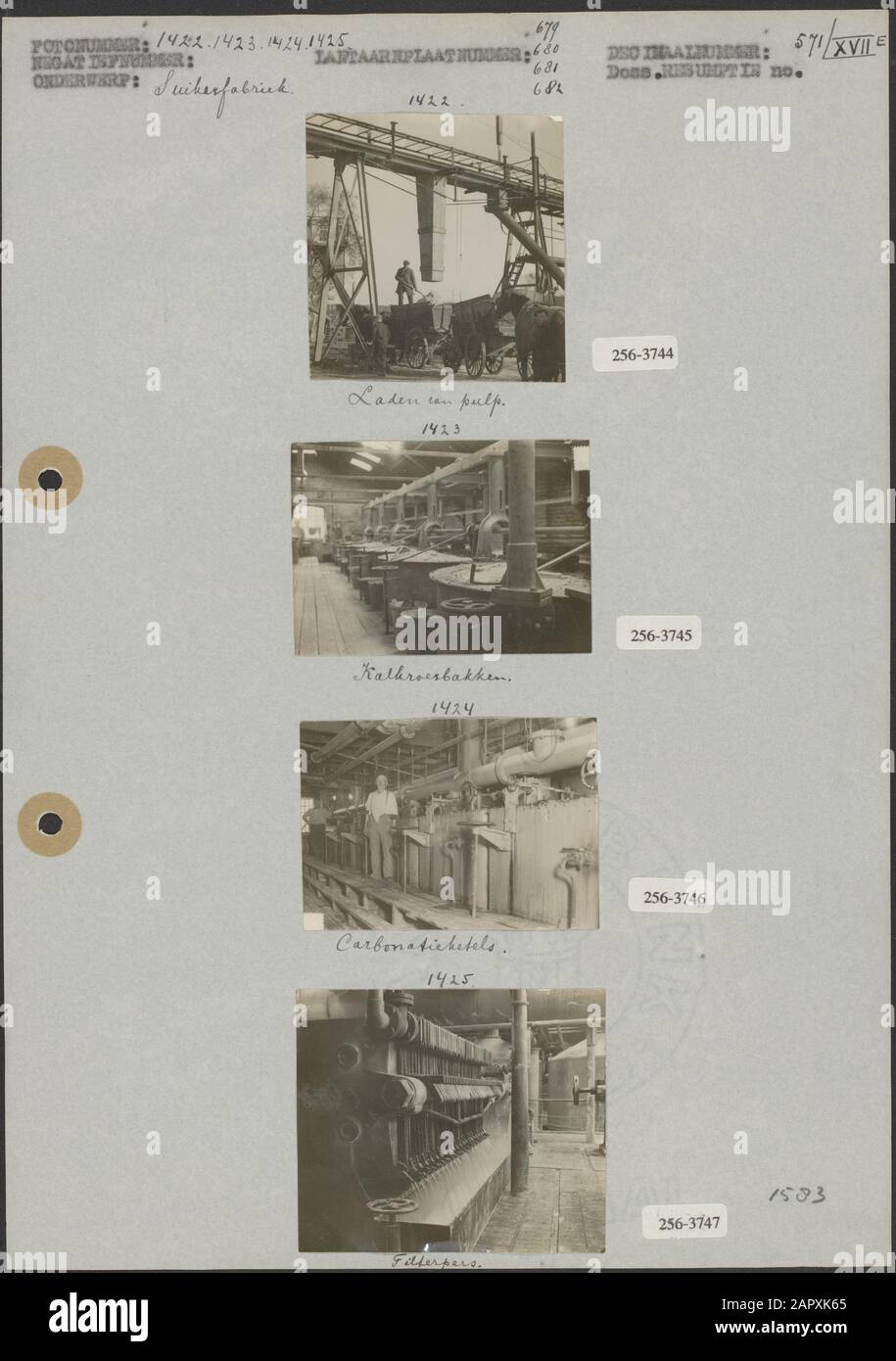 Sugar Factory Photo 1: Sugar factory; loading of pulp in trolleys (6x6 ...