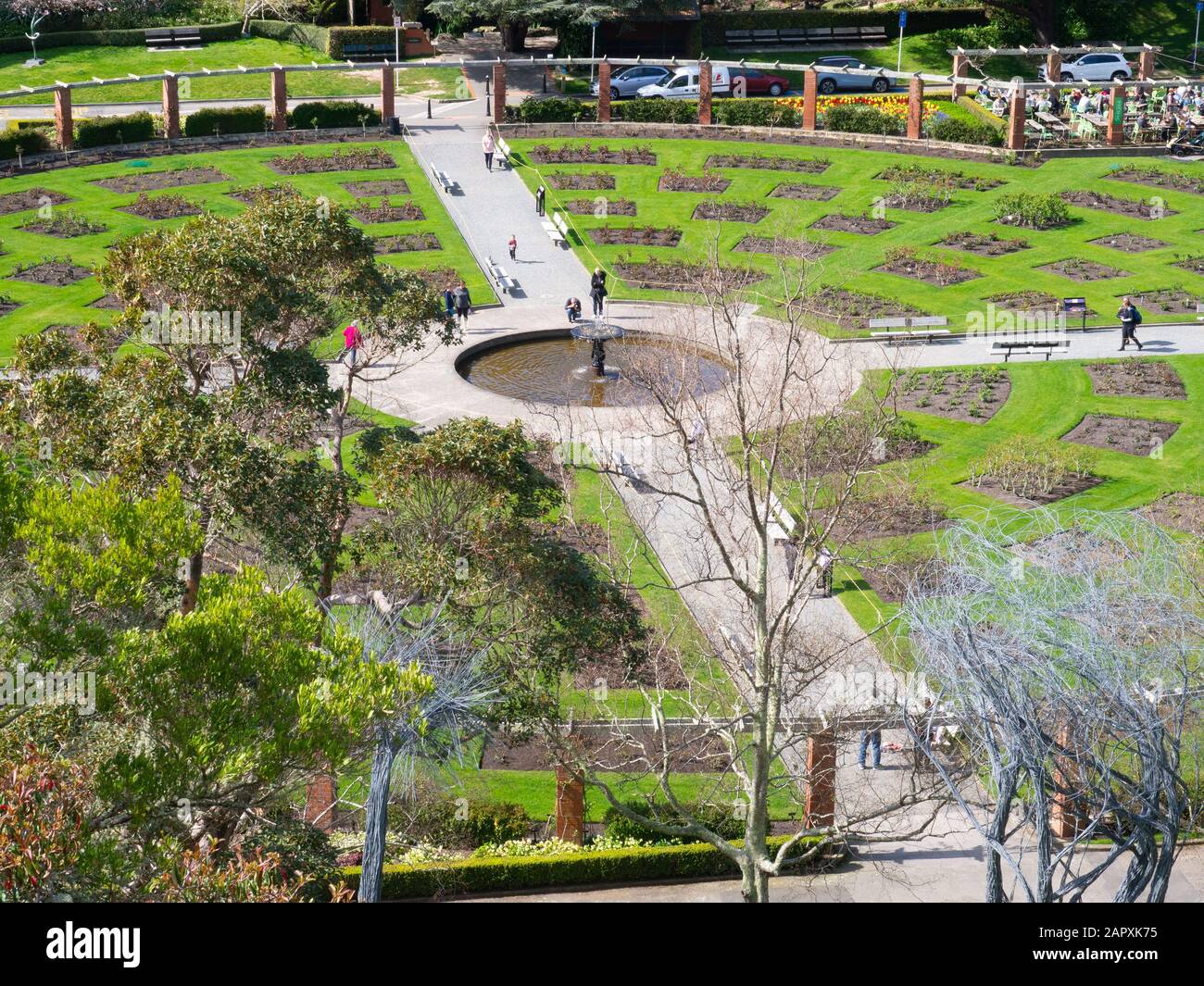 Lady Norwood Rose Garden In The Wellington Botanic Gardens Stock Photo ...