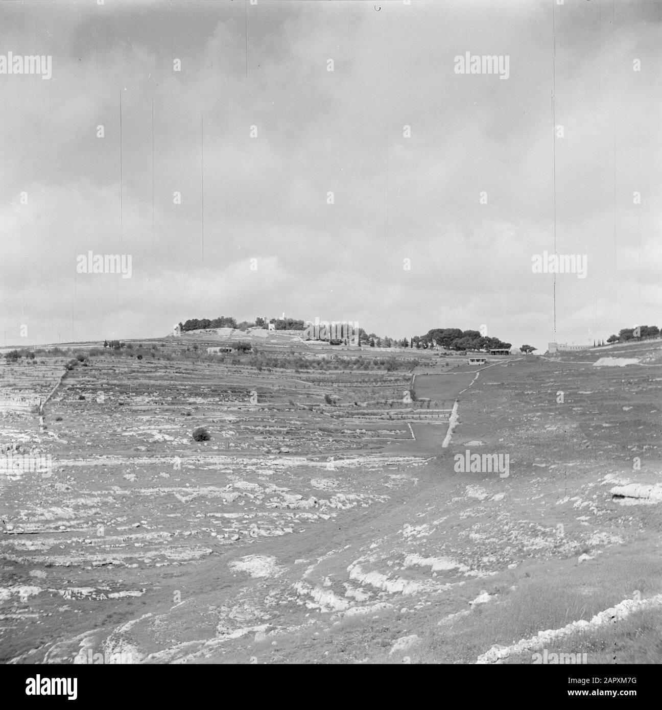 Abu Ghosh Village High Resolution Stock Photography and Images - Alamy