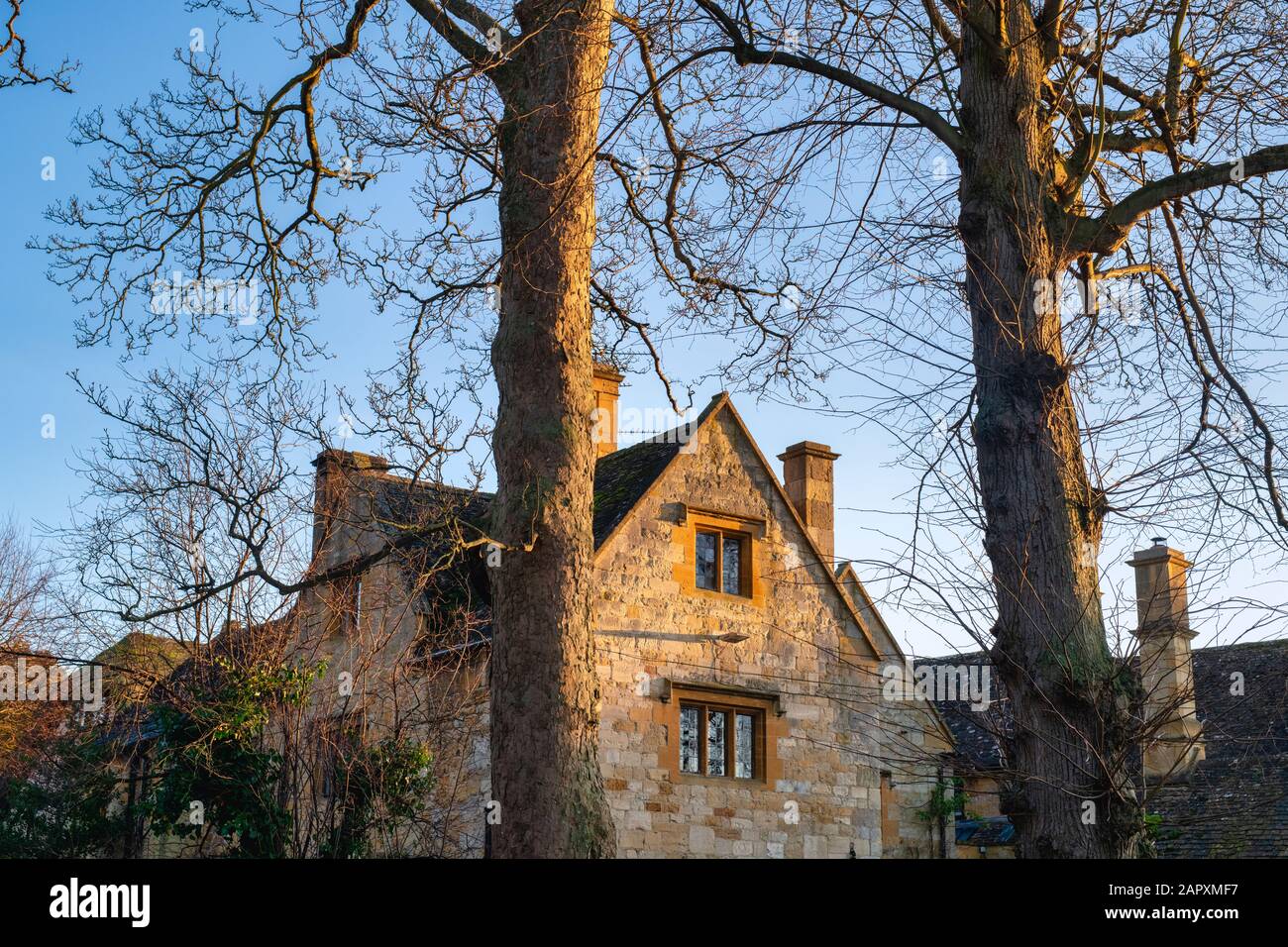 Winter sunset light on a cotswold stone house and winter trees in the ...