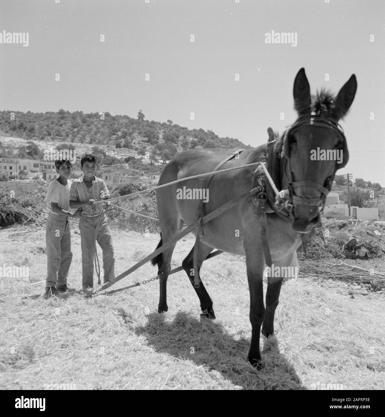 Threshing sledge hi-res stock photography and images - Alamy
