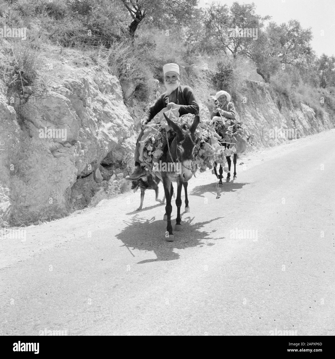 Two Druzen on heavily loaded donkeys on a country road Date: January 1 ...