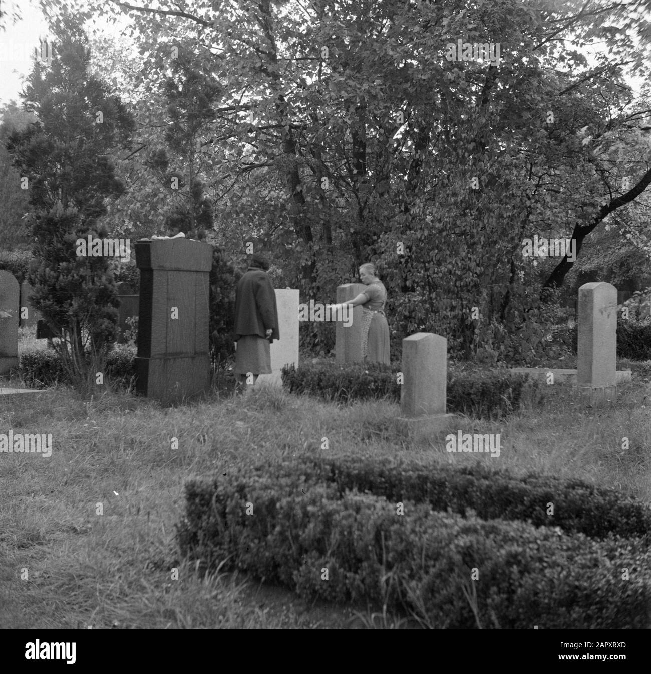 Cemetery with the tomb of Heinz Echen of the Polls woman Hildegard ...