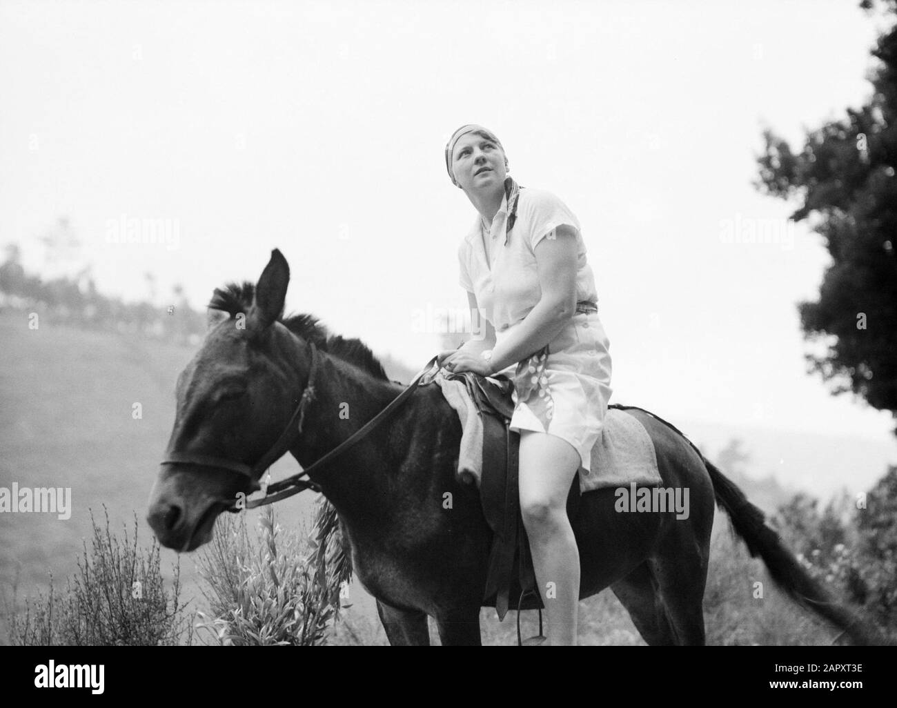 Woman riding mule Black and White Stock Photos & Images - Alamy