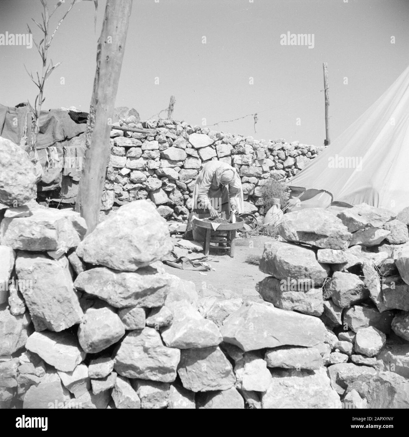 Middle East 1950-1955: Jordan Woman sorts beans for her tent in the ...
